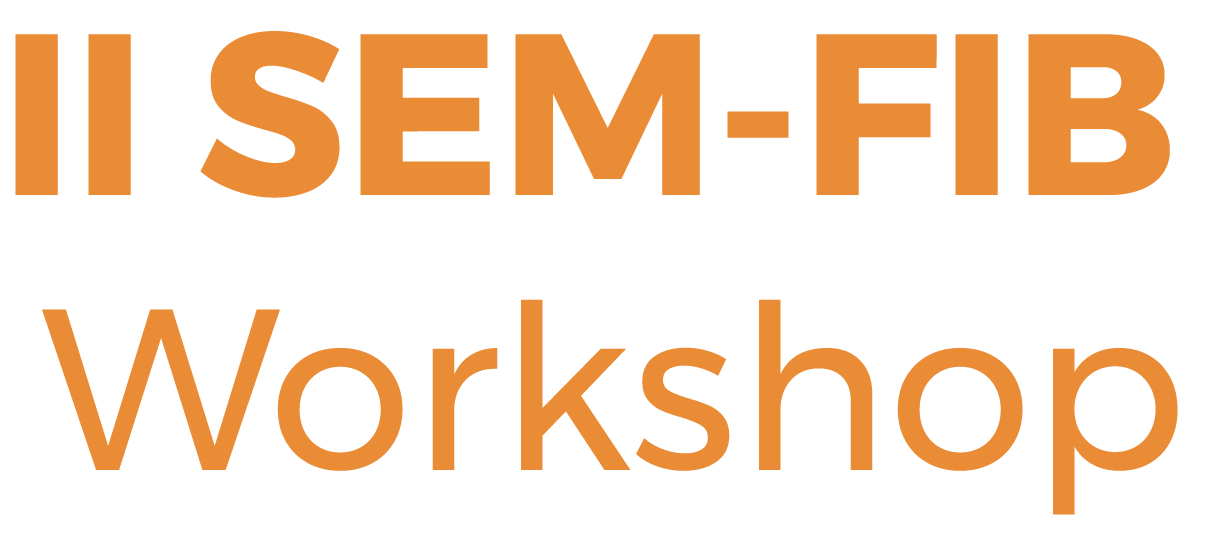 SEM FIB Workshop