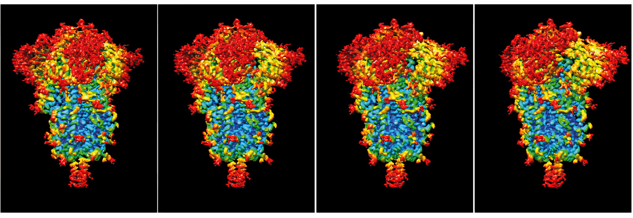 The 9th Brazil School for Single Particle Cryo-EM